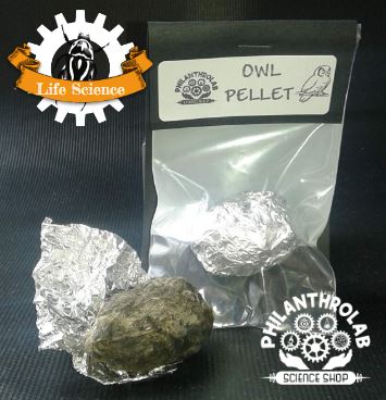 Owl Pellet – Philanthrolab Science Shop