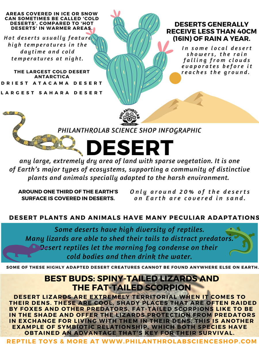 Hip Habitats: The Desert – Philanthrolab Science Shop